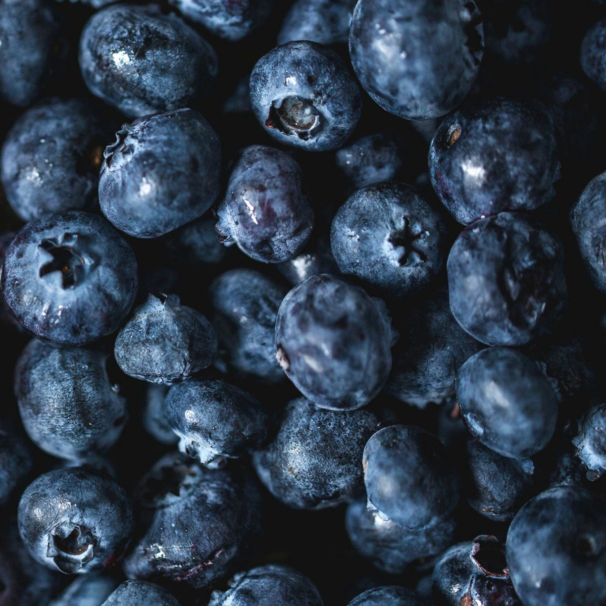 Mustard Spread - Wild Blueberry - Atlantic Mustard Mill